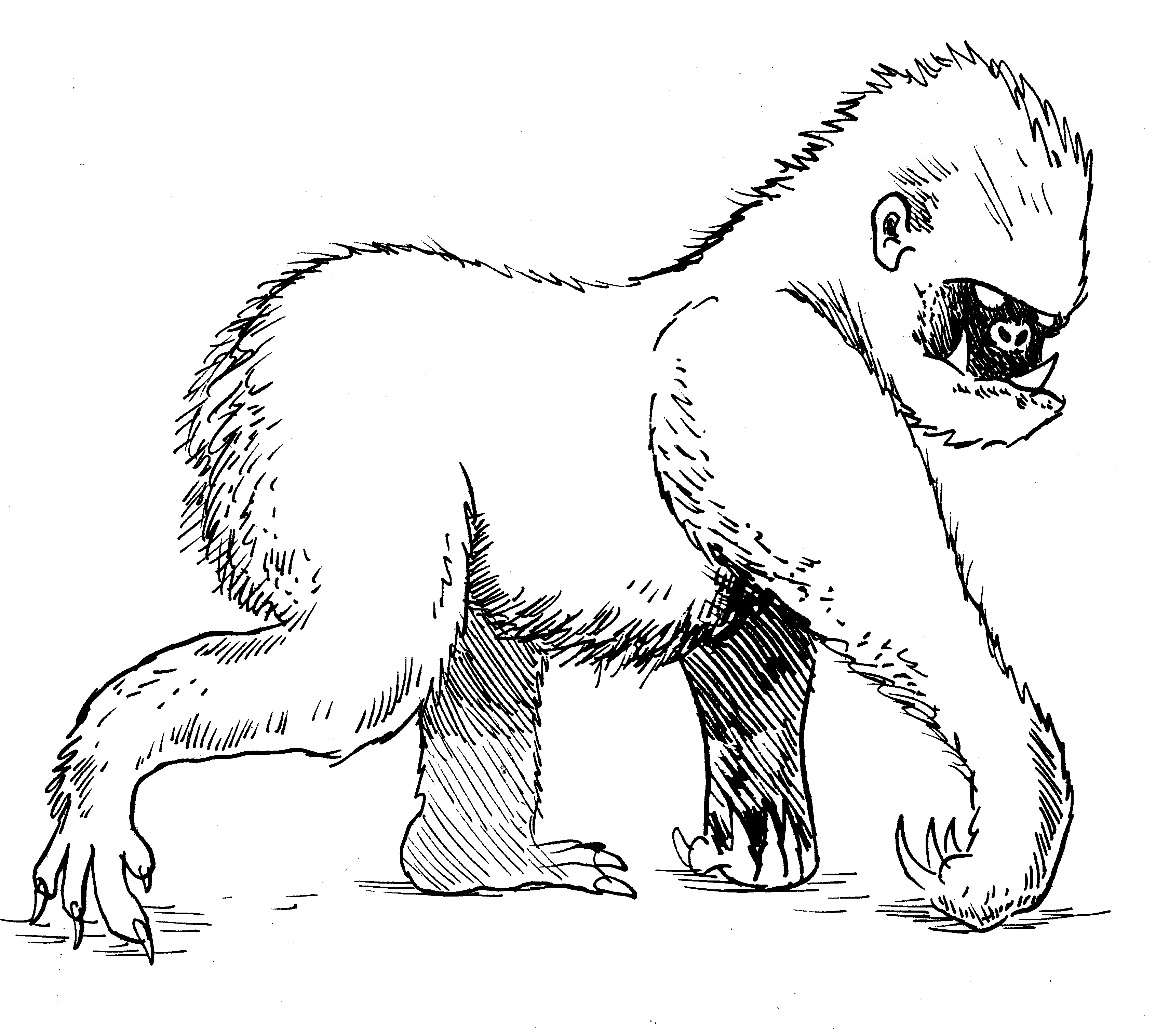 SKETCHBOOK: VoV #4 BESTIARY – VAULTS OF VAARN